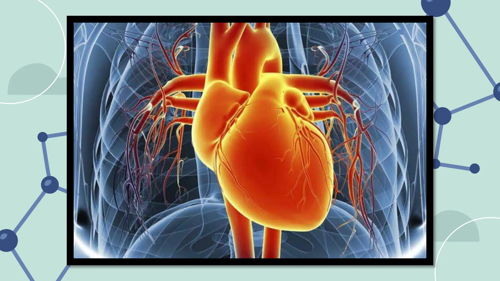 Diseases of Respiratory and Circulatory System.pptx | Illegal Drugs ...