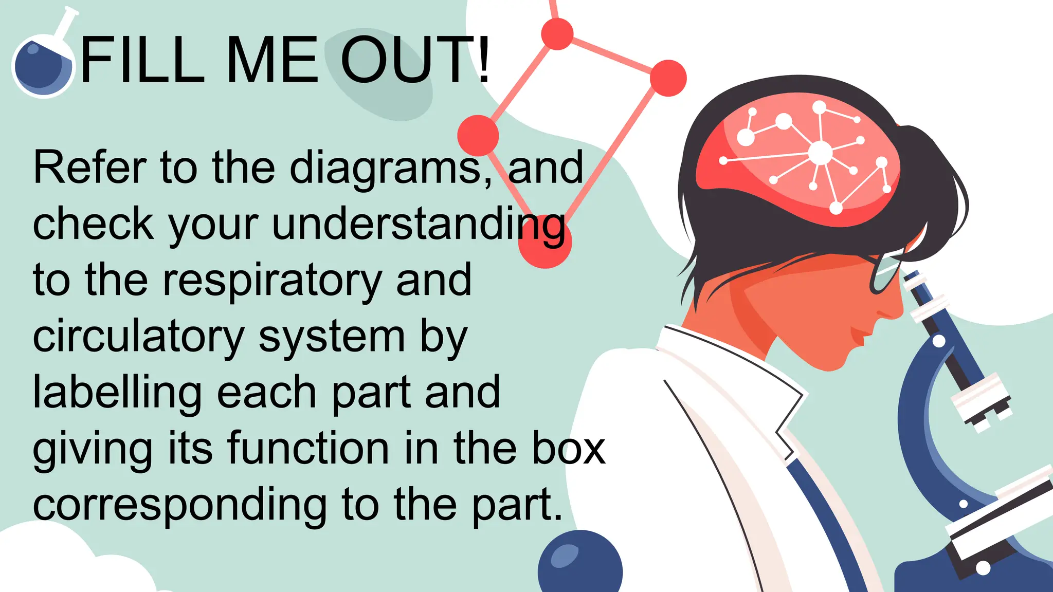 Diseases of Respiratory and Circulatory System.pptx | Illegal Drugs ...