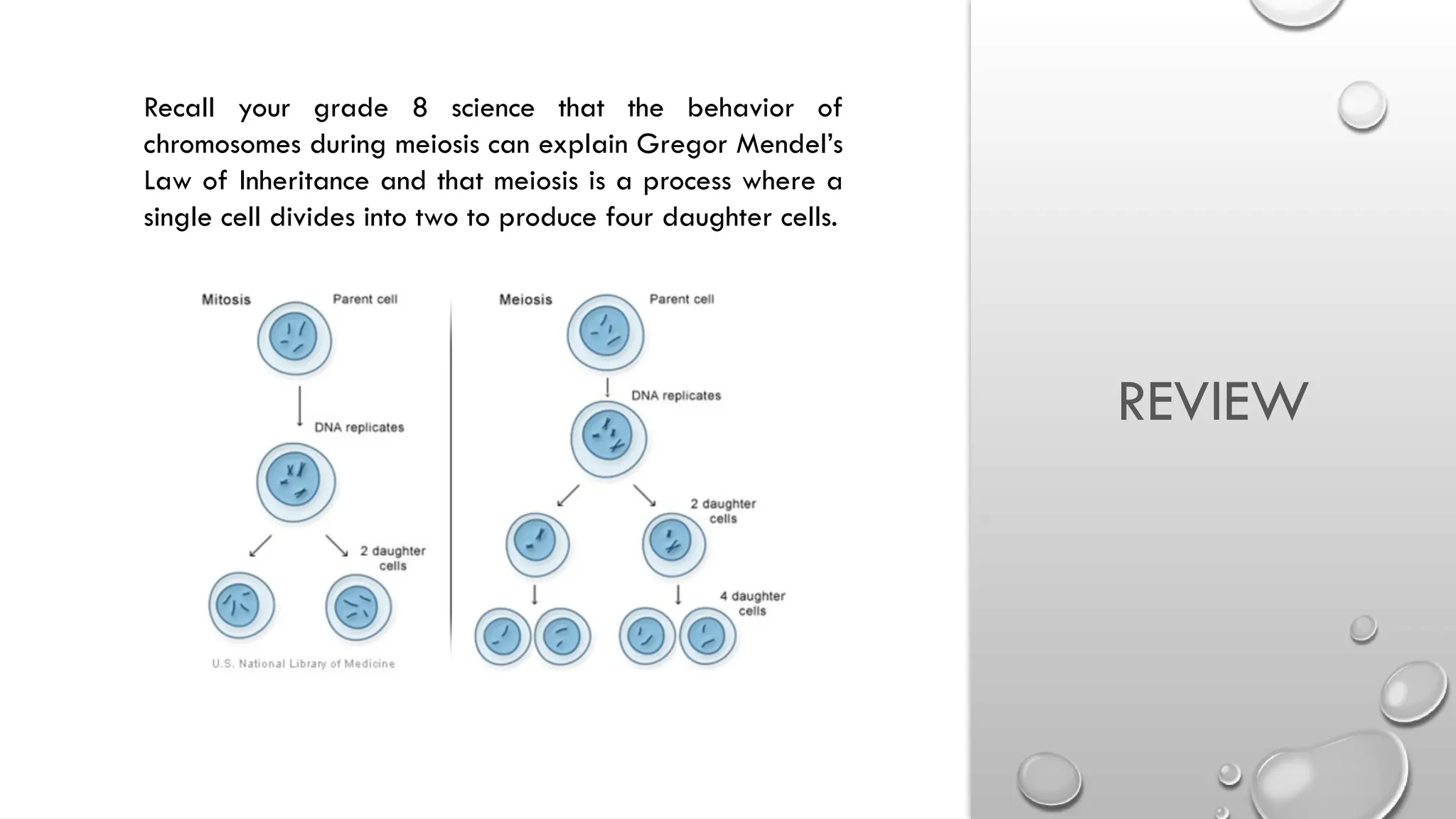 lecture on genetics: location of gene in the chomosomes.pptx