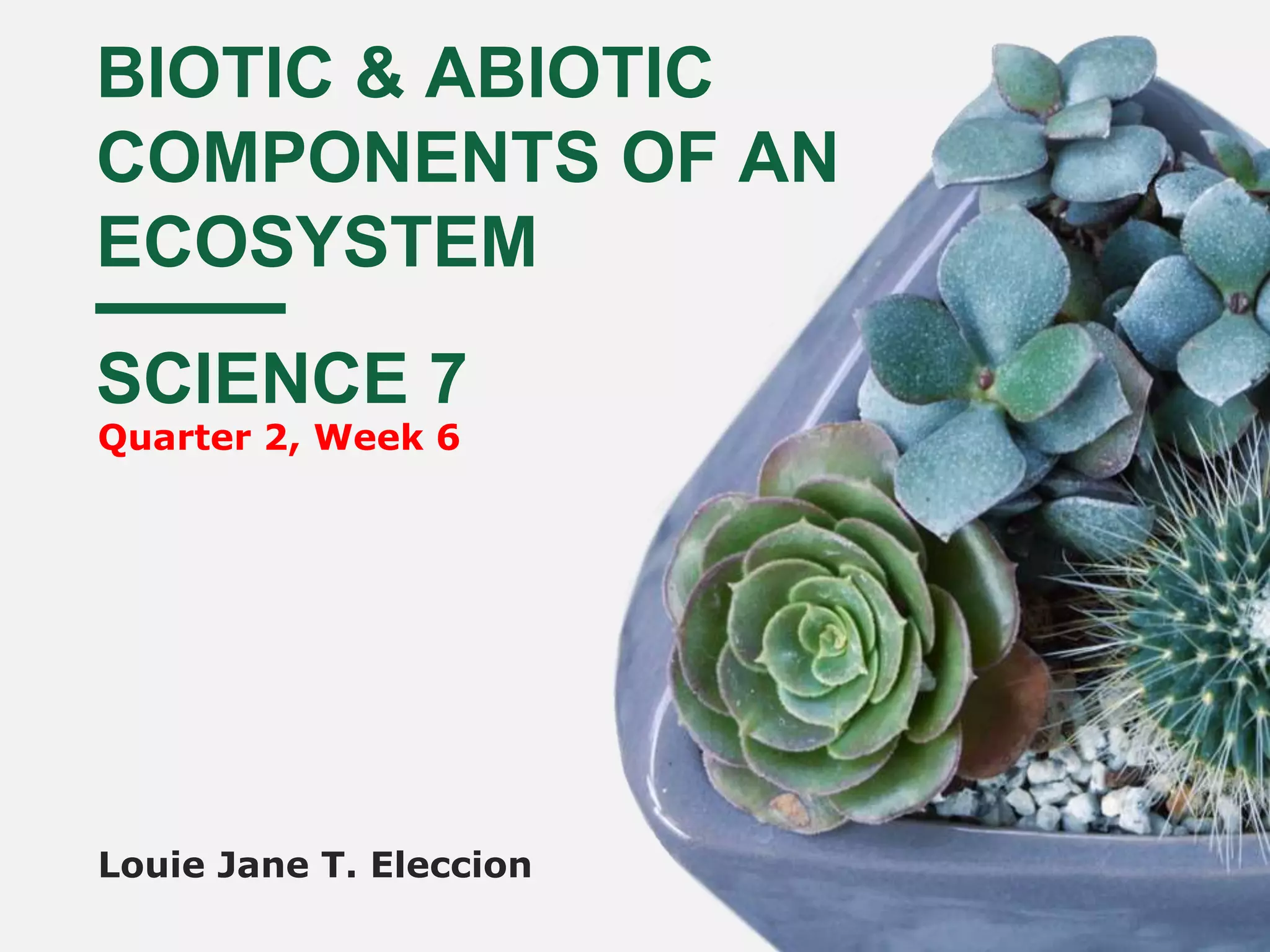 Components of an Ecosystem - Classroom Observation (flow) for 7th ...
