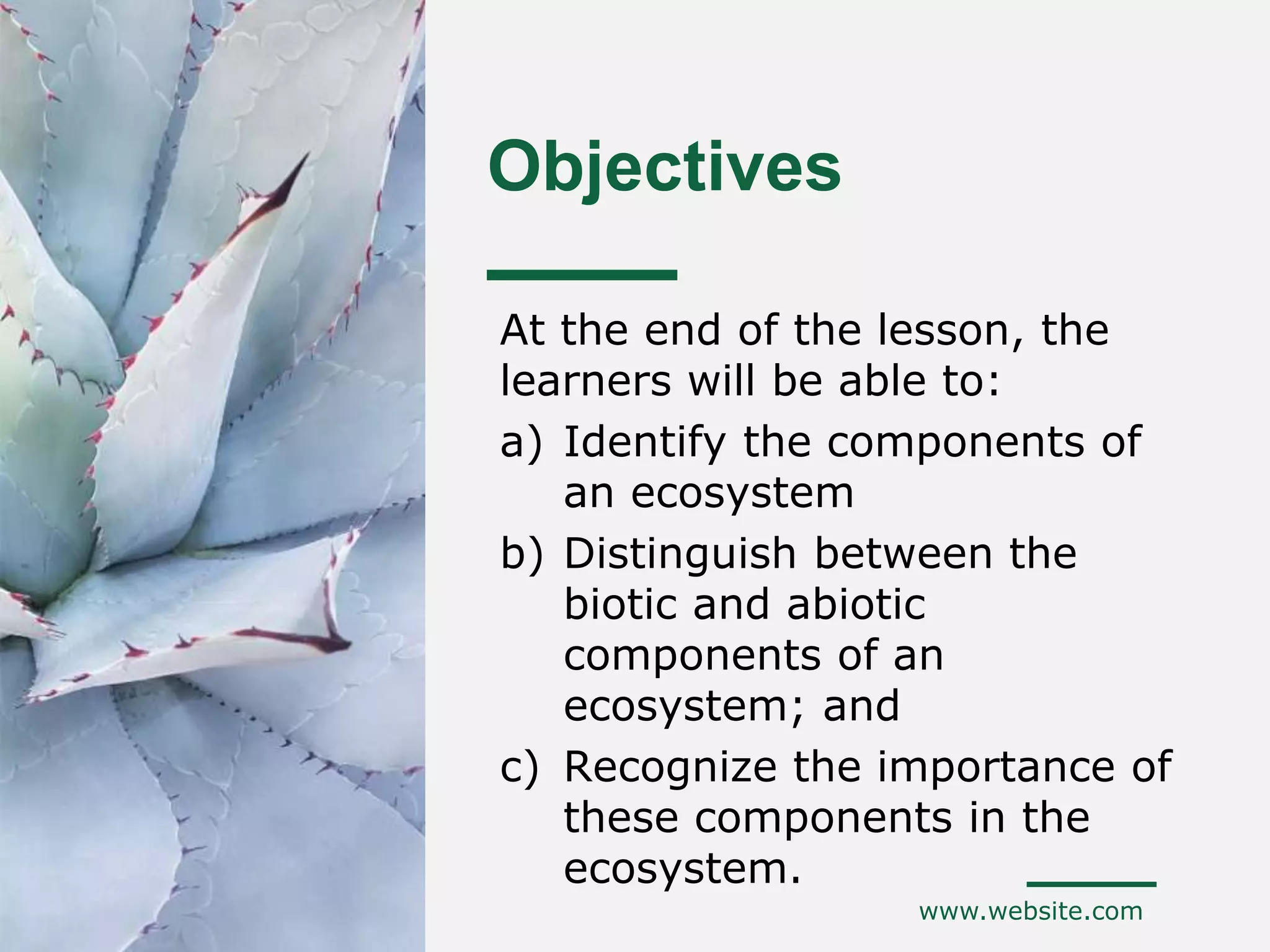 Components of an Ecosystem - Classroom Observation (flow) for 7th ...