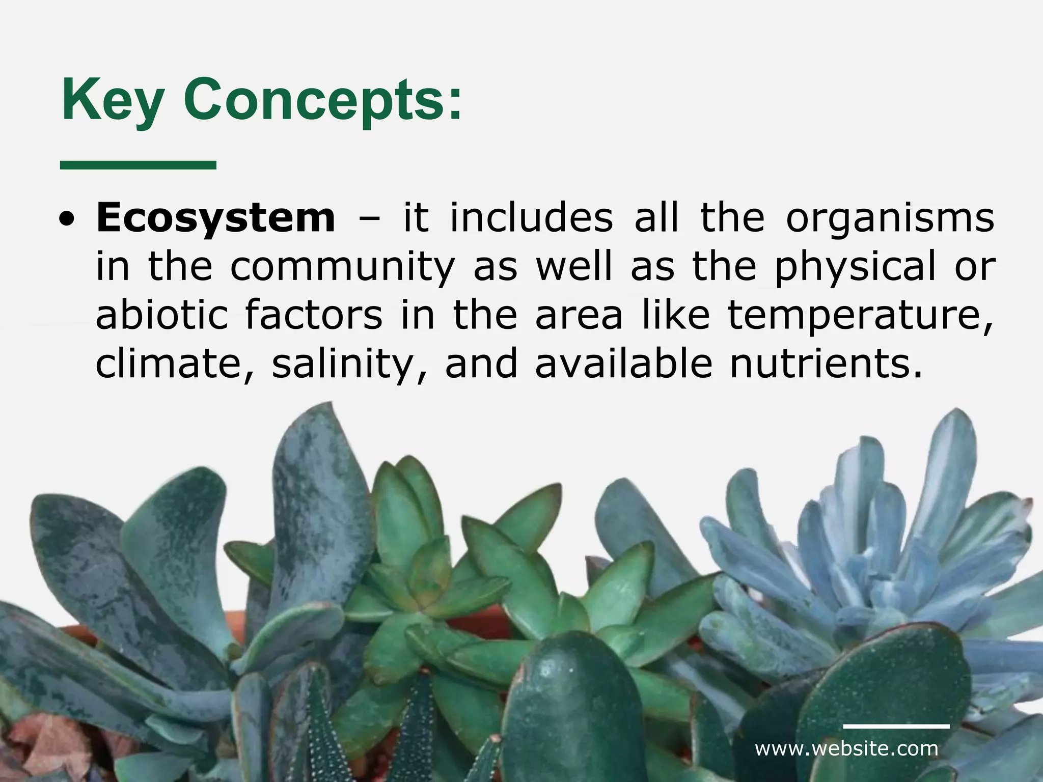 Components of an Ecosystem - Classroom Observation (flow) for 7th ...