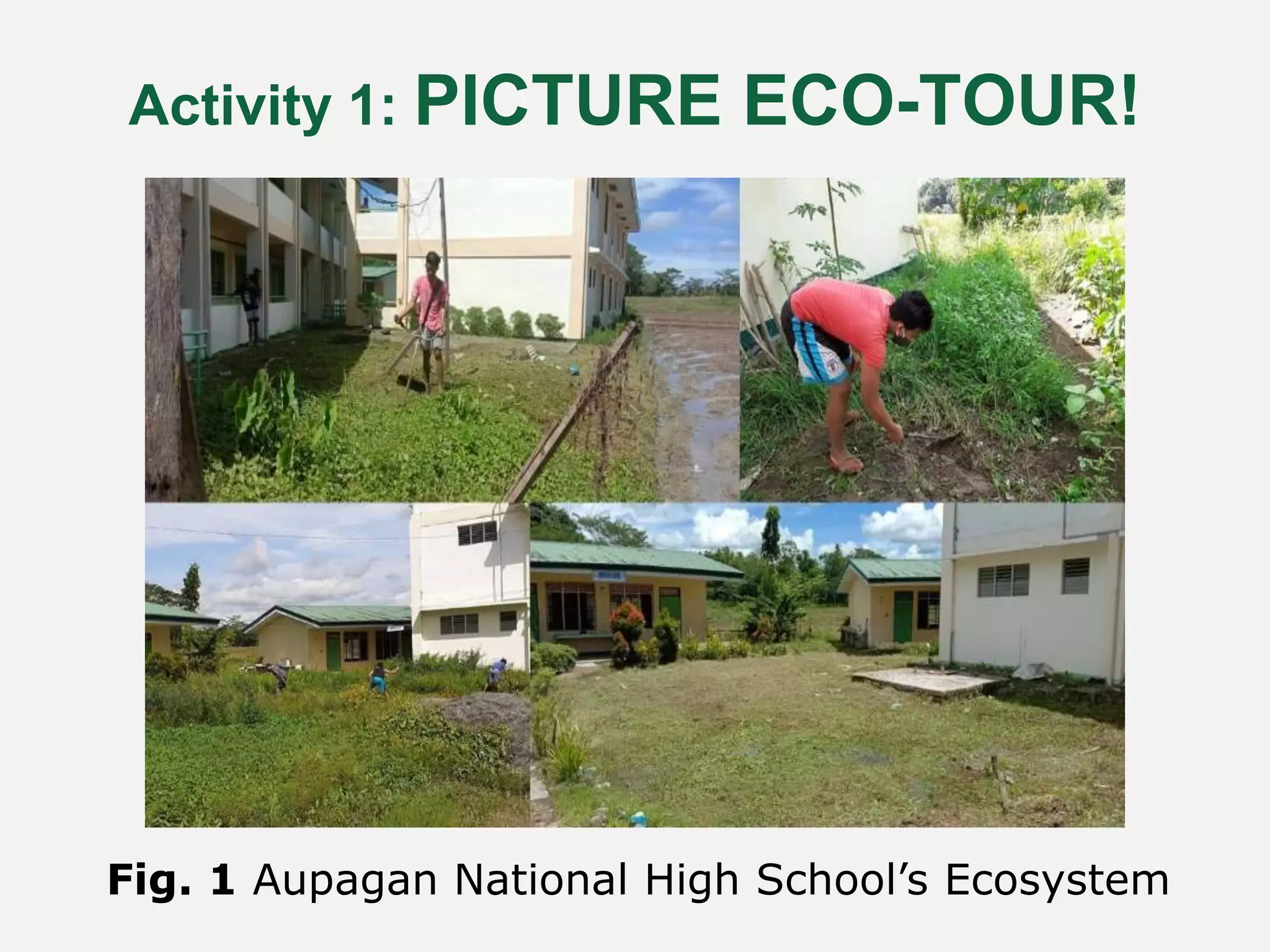Components of an Ecosystem - Classroom Observation (flow) for 7th ...