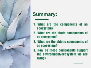 Components of an Ecosystem - Classroom Observation (flow) for 7th ...