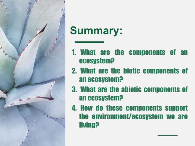 Components of an Ecosystem - Classroom Observation (flow) for 7th ...