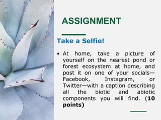 Components of an Ecosystem - Classroom Observation (flow) for 7th ...