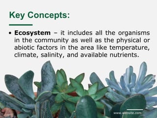 Components of an Ecosystem - Classroom Observation (flow) for 7th ...