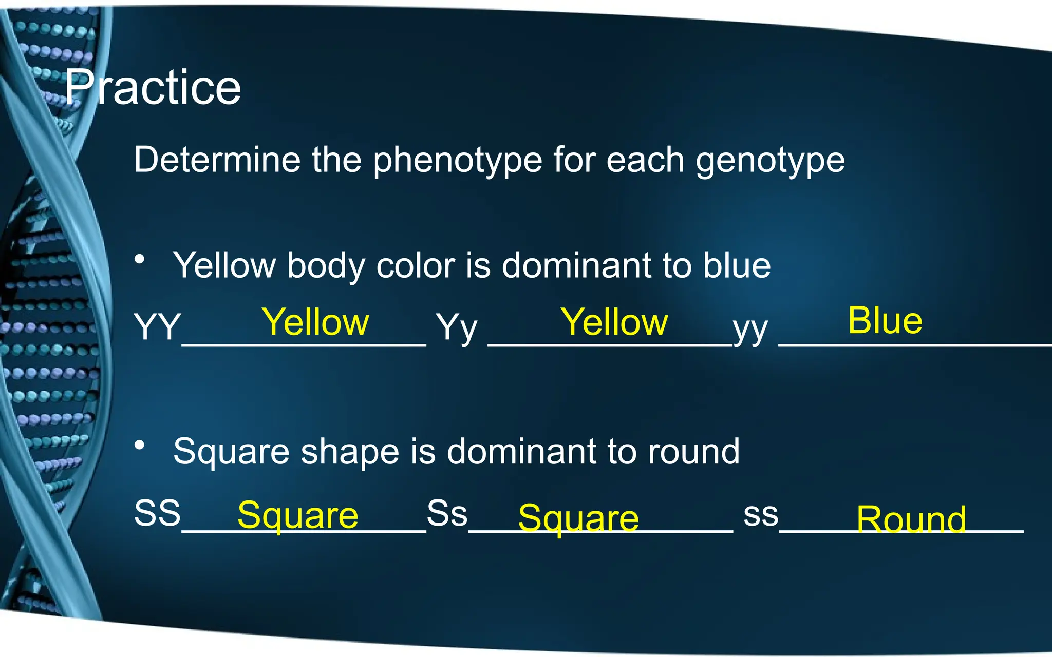 Medelian Heredity and Genetics Grade 8-quarter four | PPTX