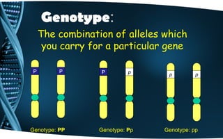 Medelian Heredity and Genetics Grade 8-quarter four | PPTX