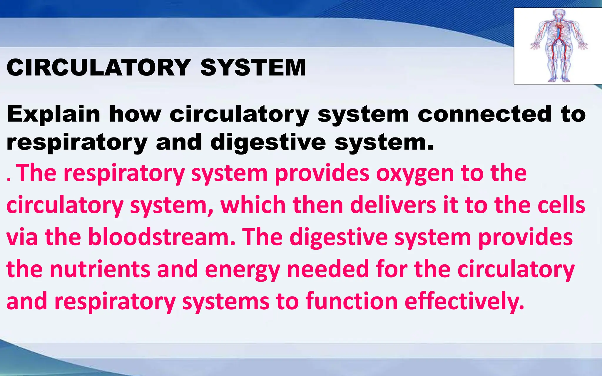 Body system - specifically digestive , respiratory , circulatory | PPTX