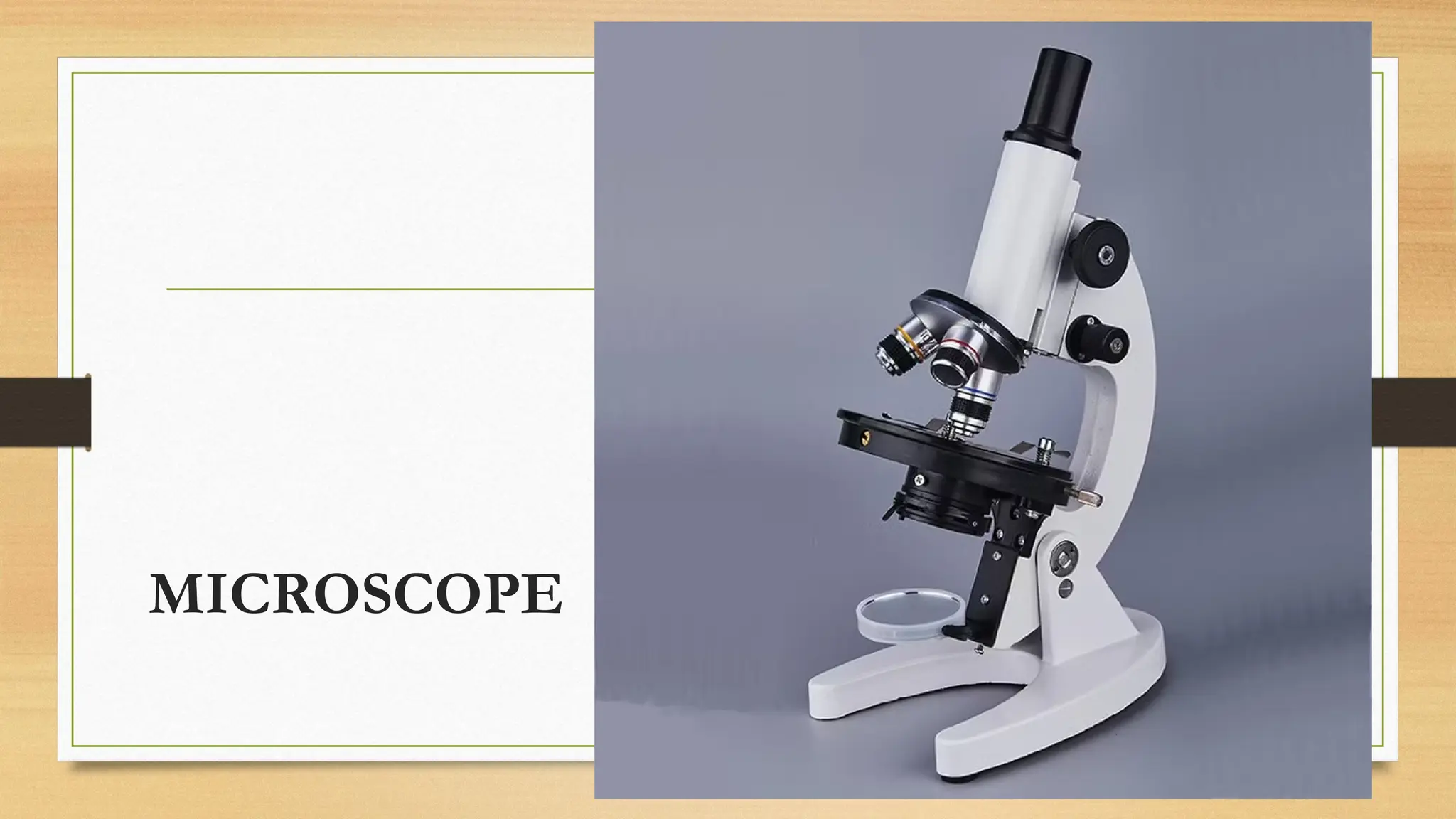 Plant and animal cell demonstration lesson | PPTX