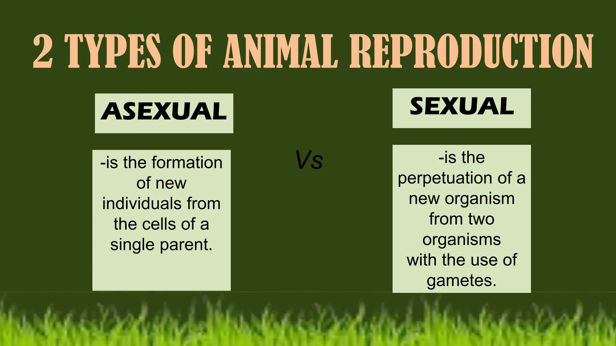 COT 2nd Quarter 2024.pptx