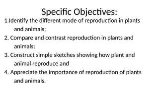 power point presentation on Plant and Animal Reproduction | PPTX