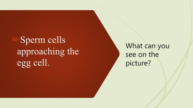 Roles of Hormones Involved in Male and Female Reproductive Systems.pptx ...