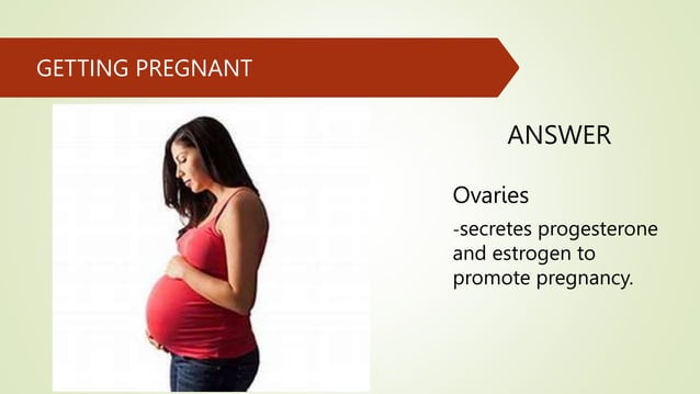 Roles of Hormones Involved in Male and Female Reproductive Systems.pptx ...