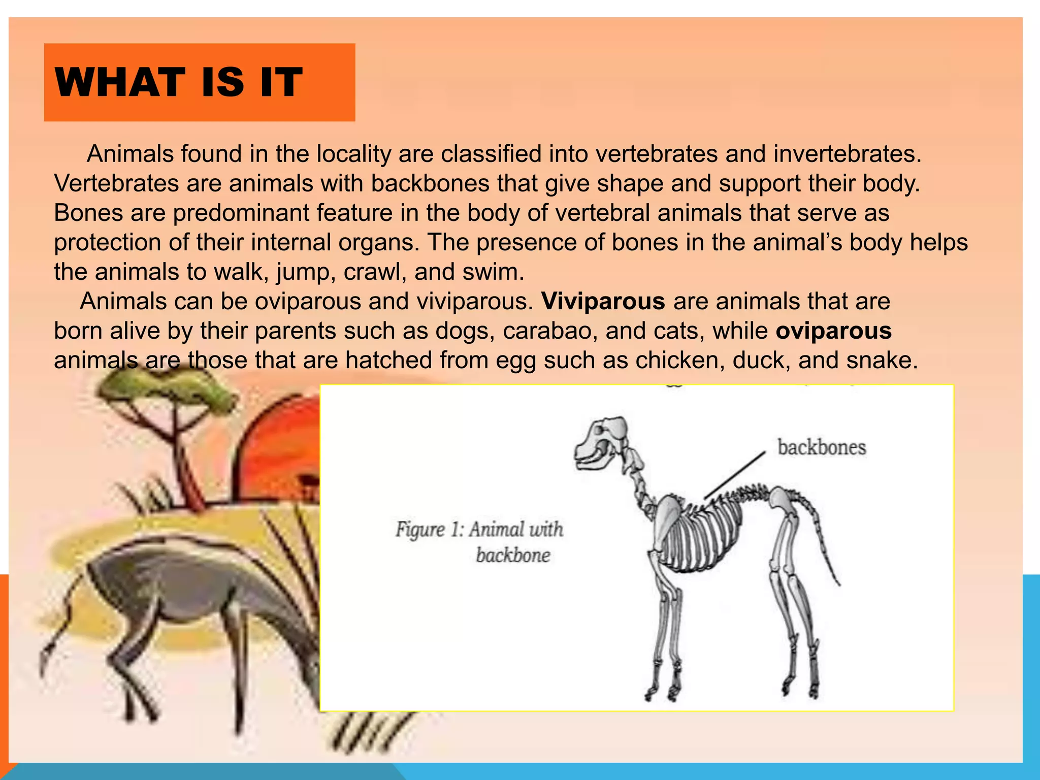 COT 2 SCIENCE 6 OBSERVATION.pptx
