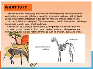 COT 2 SCIENCE 6 OBSERVATION.pptx