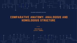 COMPARATIVE ANATOMY | PPTX