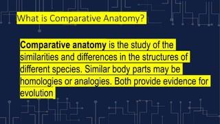 COMPARATIVE ANATOMY | PPTX