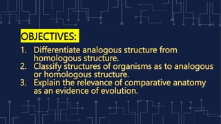 COMPARATIVE ANATOMY | PPTX