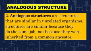 COMPARATIVE ANATOMY | PPTX