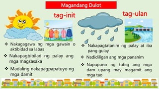 COT AP 2021-2022.pptx