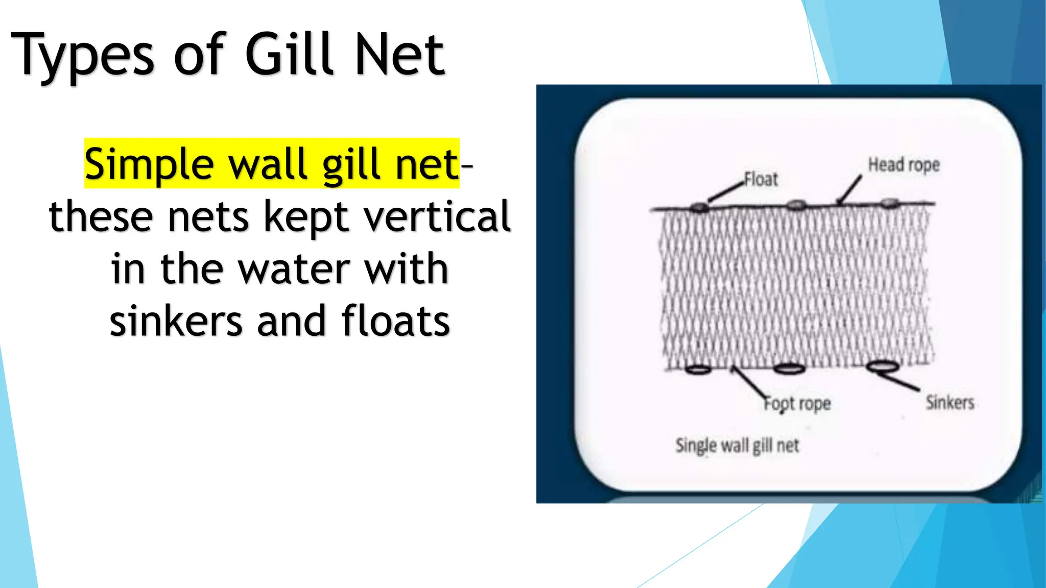 COT CAPTURE Fish capture basic net construction that help the fisherman ...
