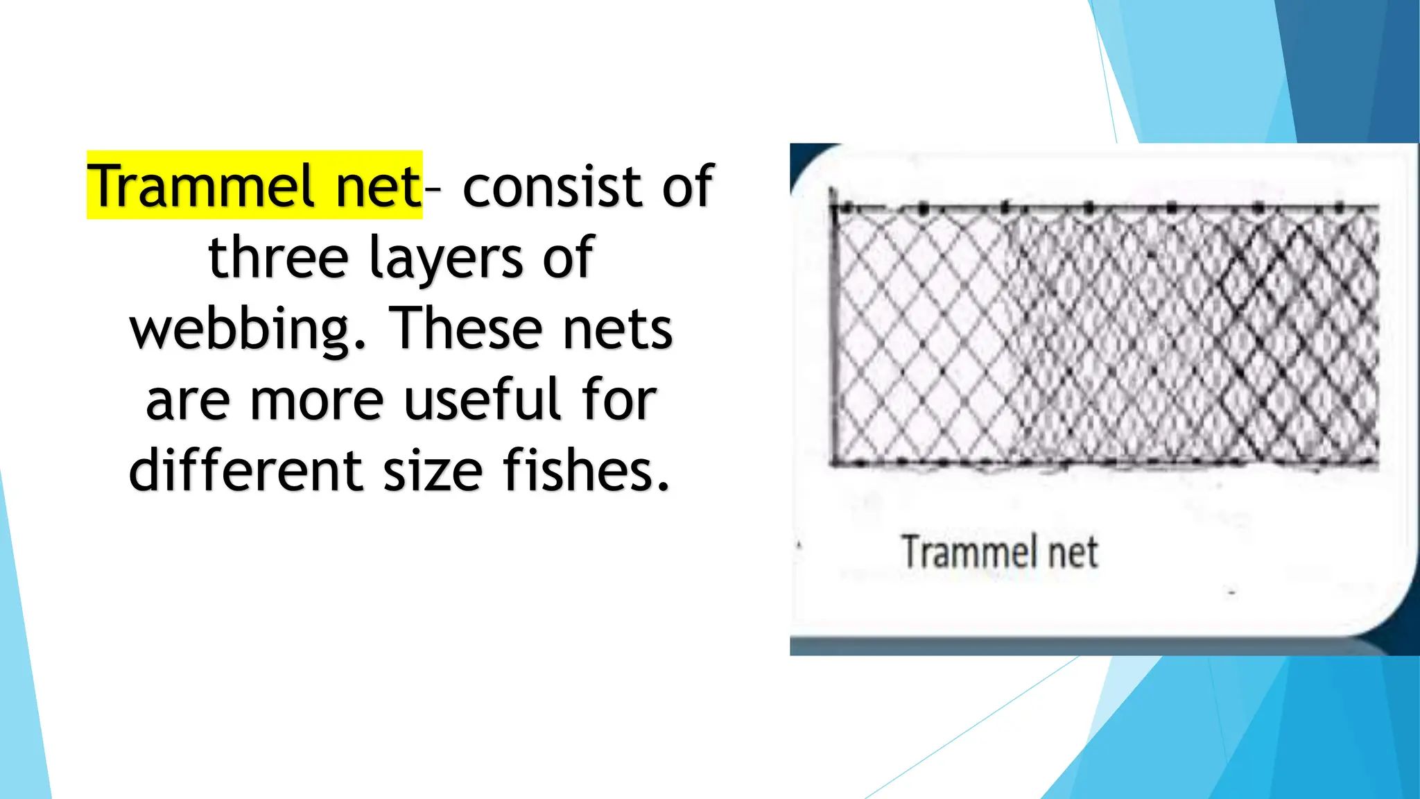 COT CAPTURE Fish capture basic net construction that help the fisherman ...