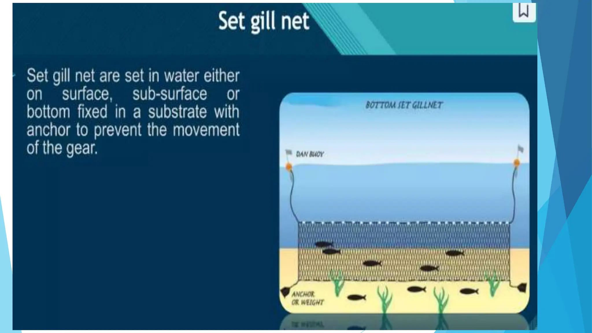 COT CAPTURE Fish capture basic net construction that help the fisherman ...