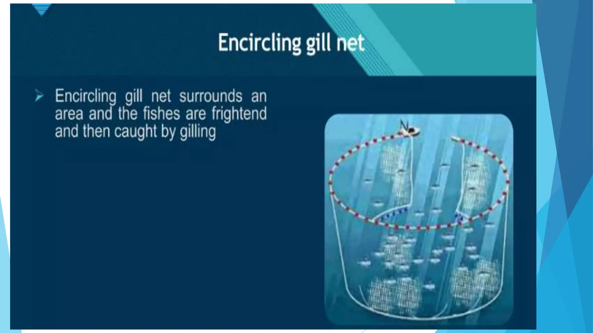 COT CAPTURE Fish capture basic net construction that help the fisherman ...