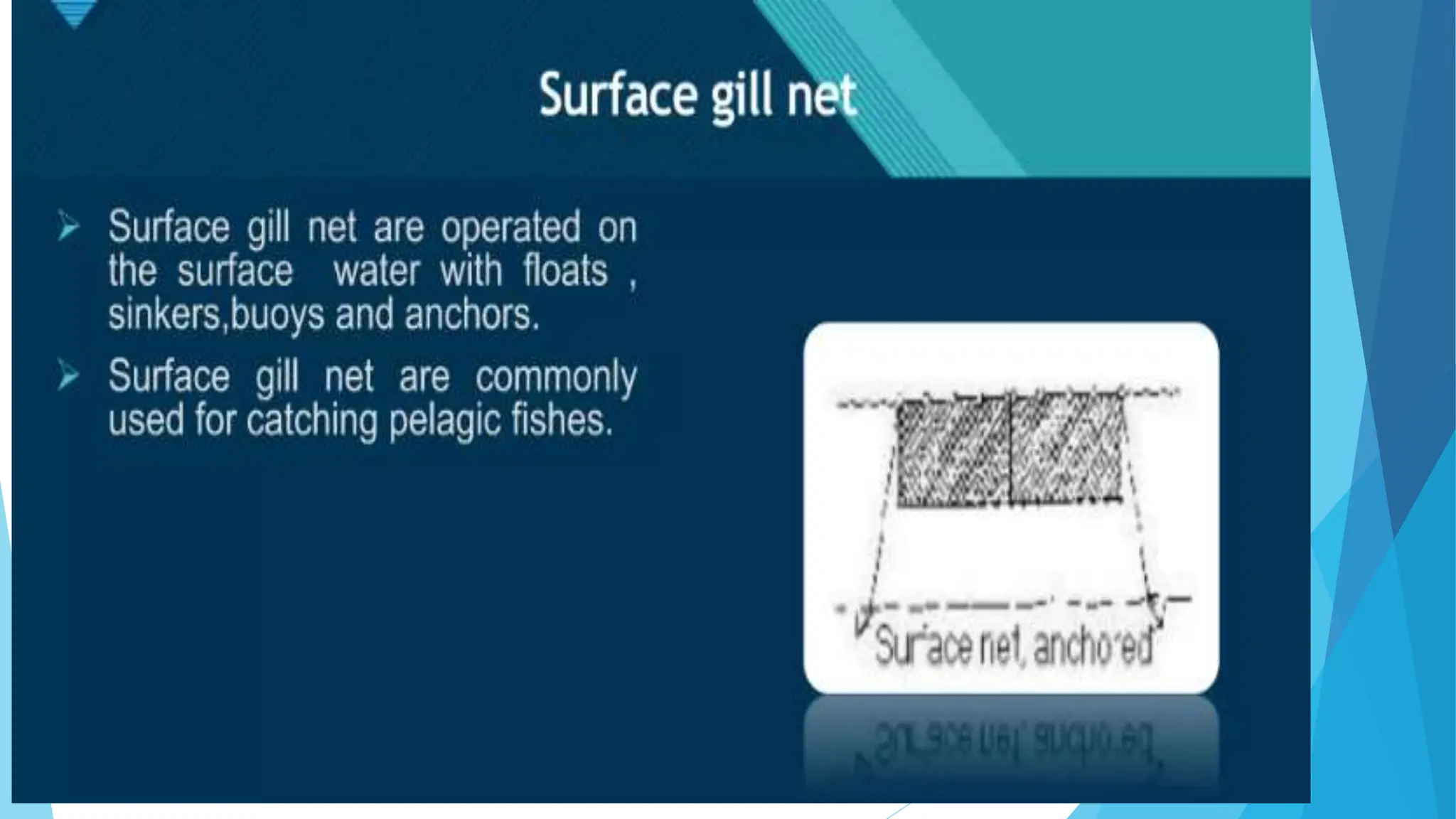 COT CAPTURE Fish capture basic net construction that help the fisherman ...