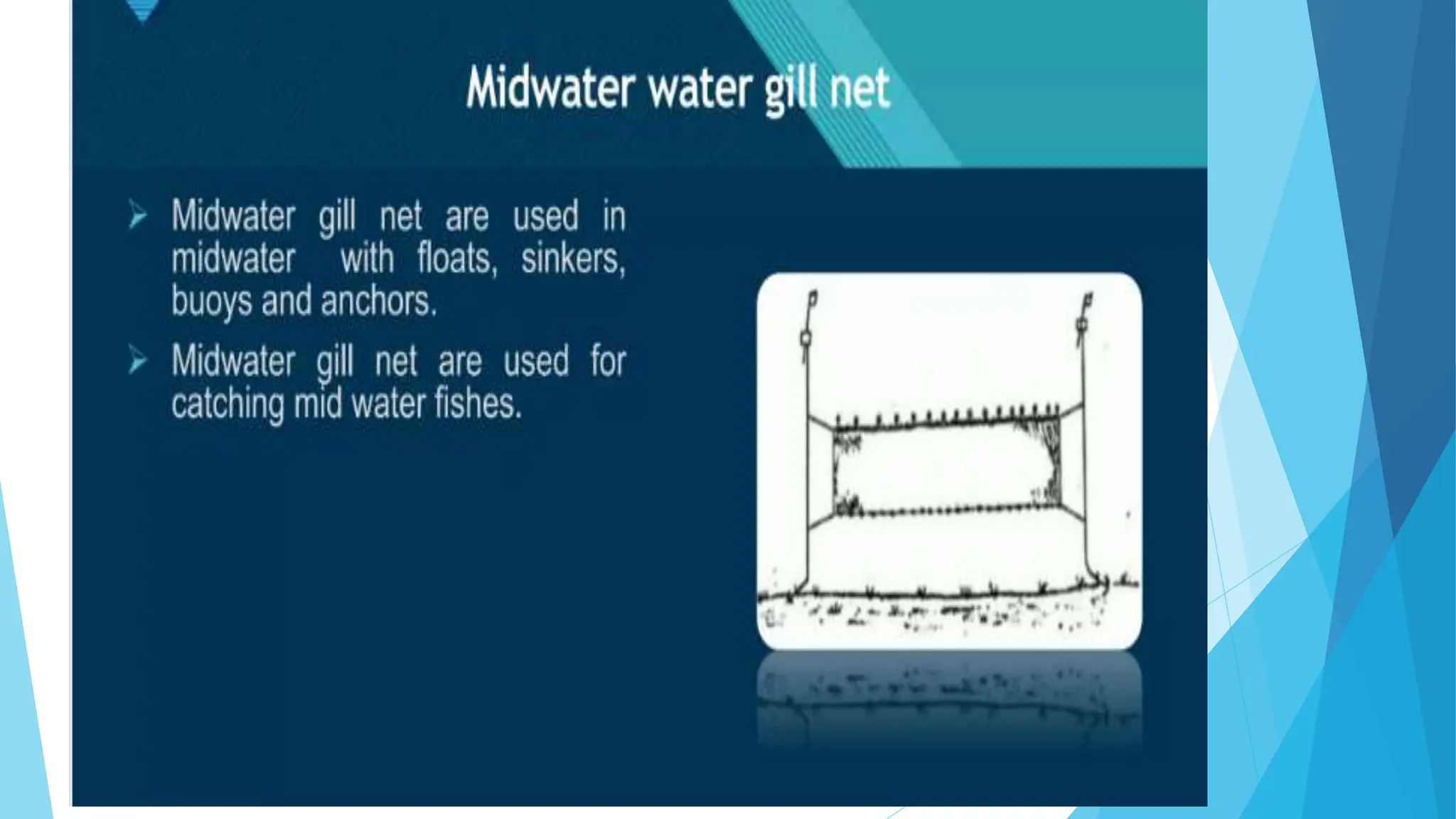 COT CAPTURE Fish capture basic net construction that help the fisherman ...