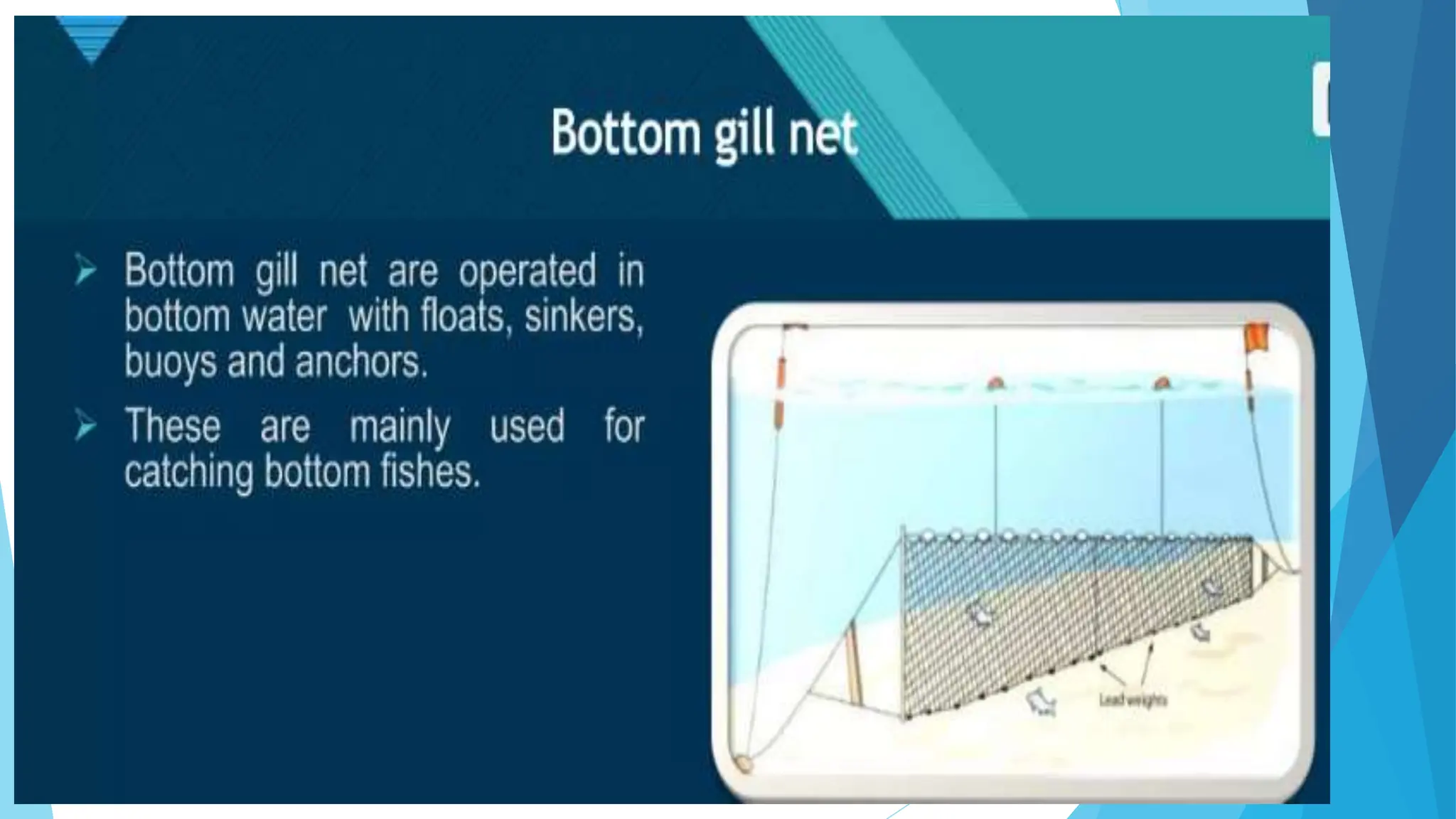 COT CAPTURE Fish capture basic net construction that help the fisherman ...