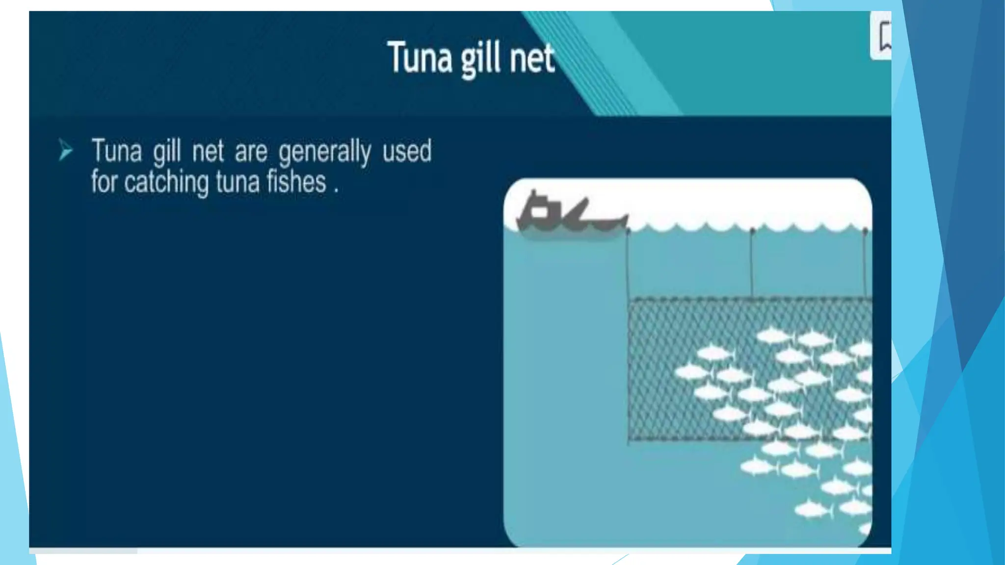 COT CAPTURE Fish capture basic net construction that help the fisherman ...
