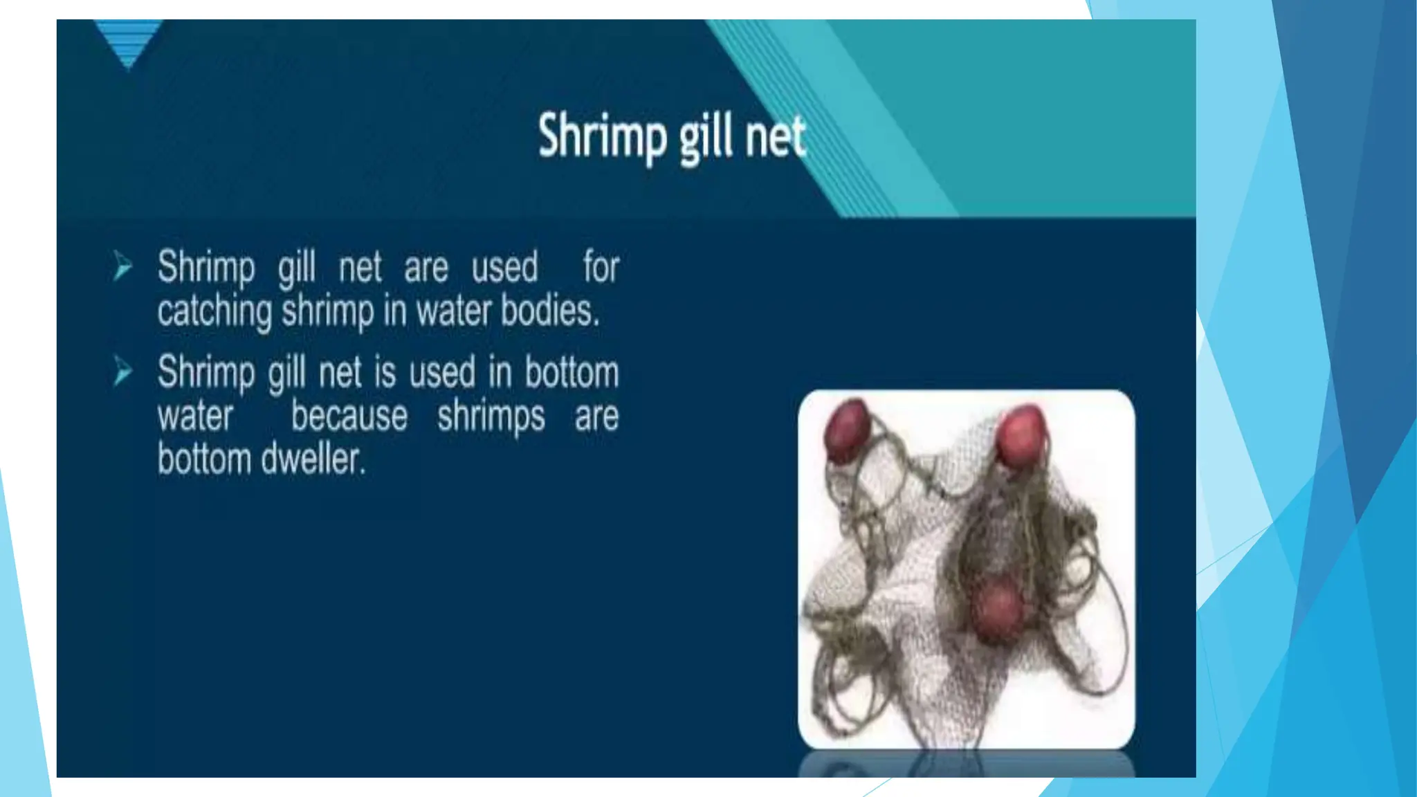 COT CAPTURE Fish capture basic net construction that help the fisherman ...