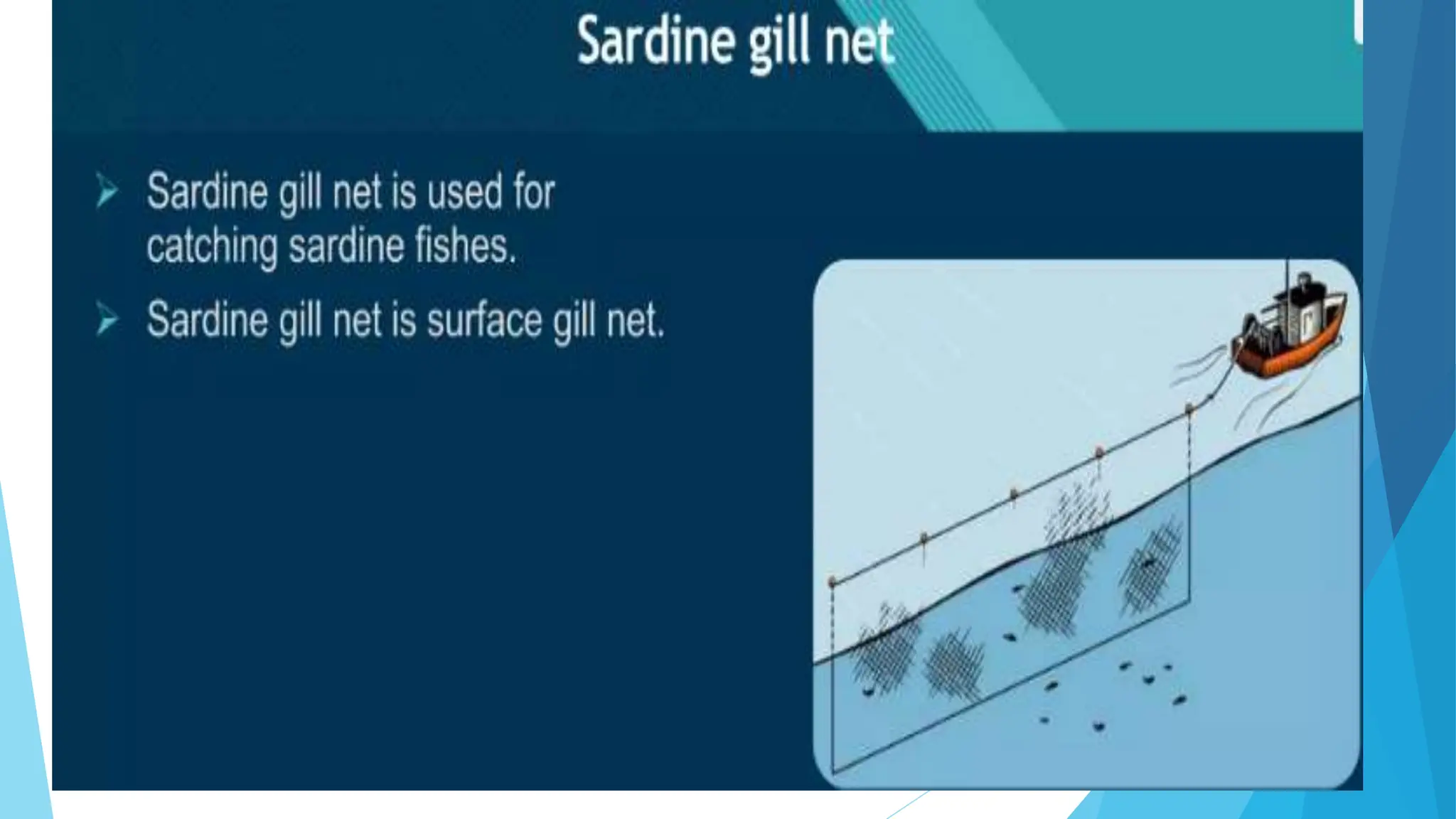 COT CAPTURE Fish capture basic net construction that help the fisherman ...