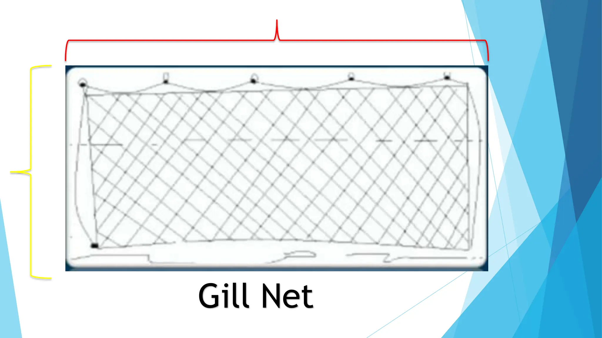 COT CAPTURE Fish capture basic net construction that help the fisherman ...