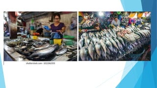COT CAPTURE Fish capture basic net construction that help the fisherman ...