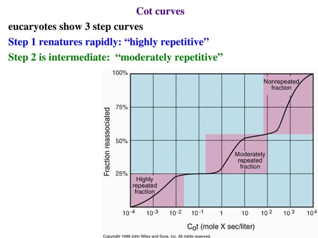 COT CURVE.pptjhjhhchjvjb kn.,n,vhjcnhb nm | PPT
