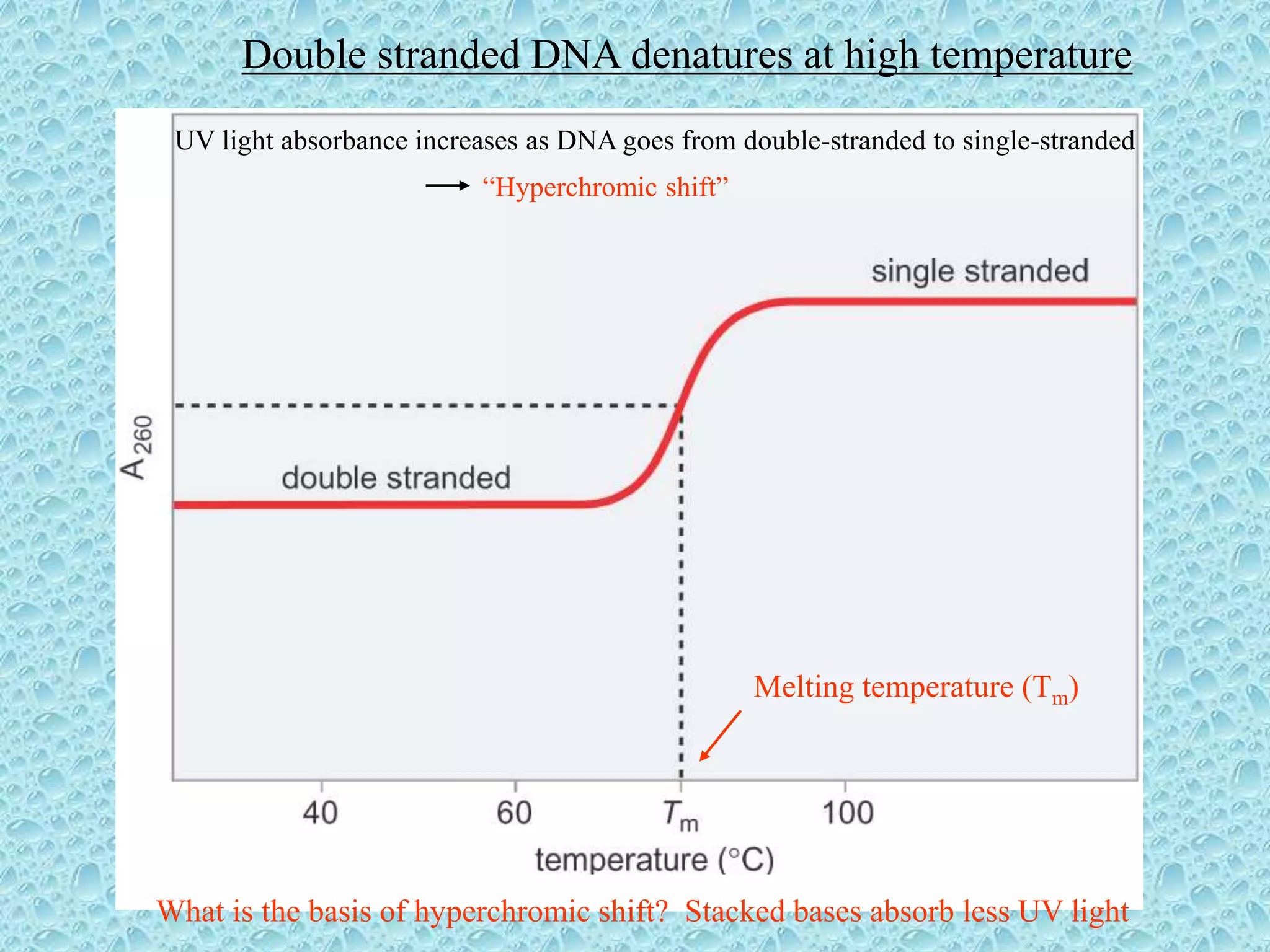 Cot curve analysis for gene and genome complexity | PPT