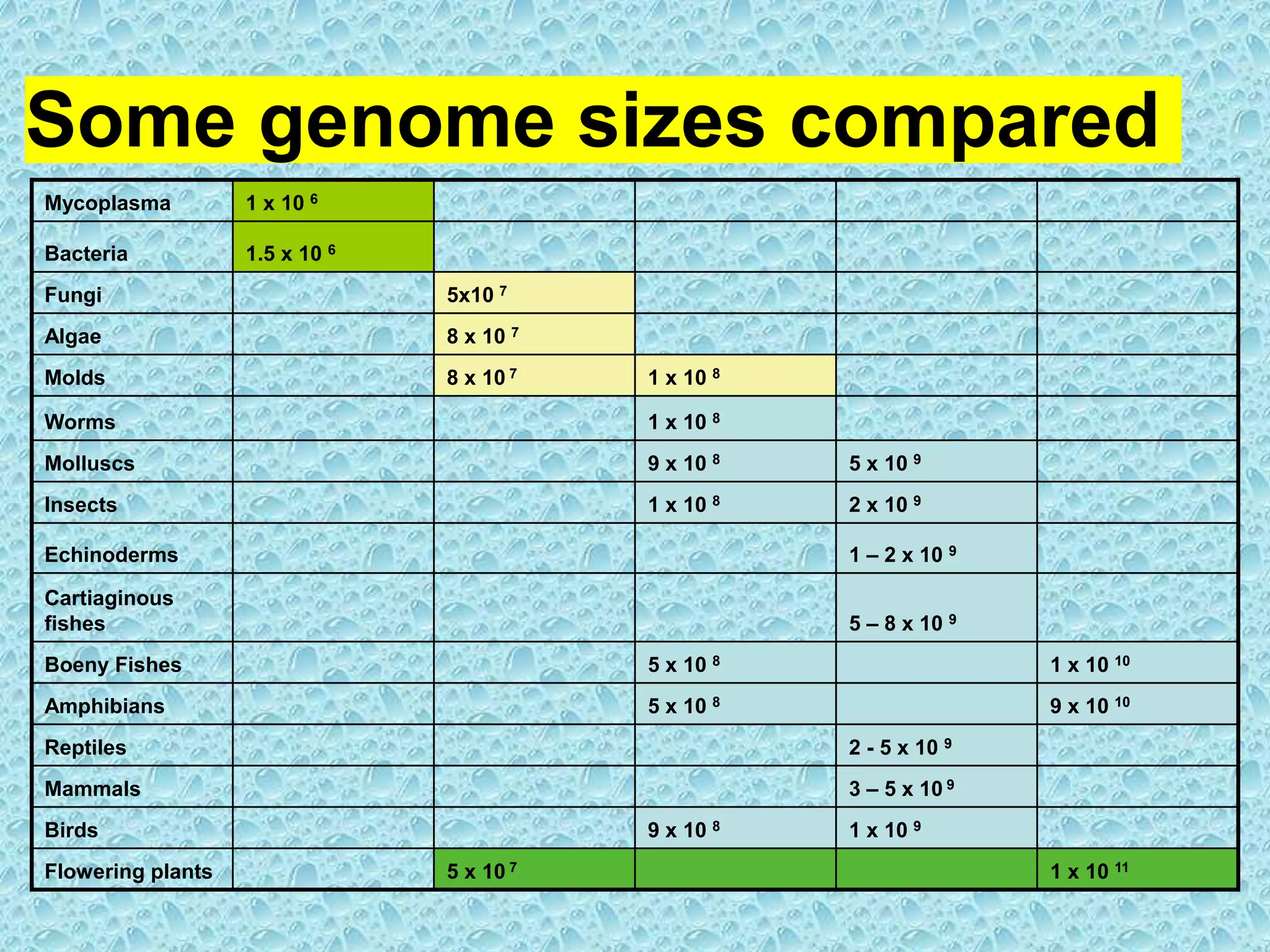 Cot curve analysis for gene and genome complexity | PPT
