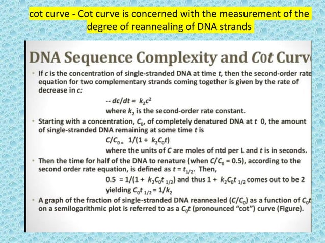 Cot curve analysis for gene and genome complexity | PPT | Biological ...