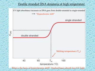 Cot curve analysis for gene and genome complexity | PPT | Biological ...