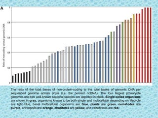Cot curve analysis for gene and genome complexity | PPT | Biological ...