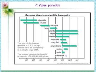 Cot curve analysis for gene and genome complexity | PPT | Biological ...