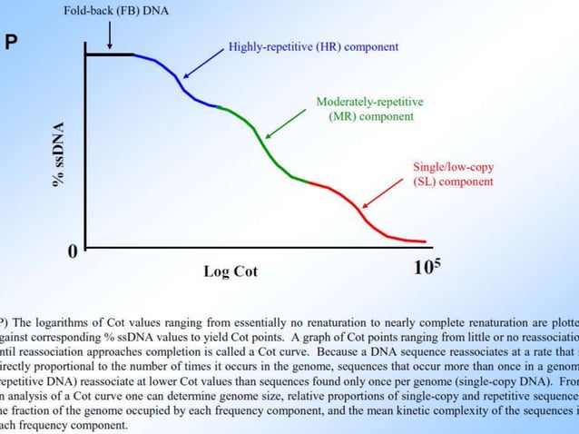Cot curve analysis for gene and genome complexity