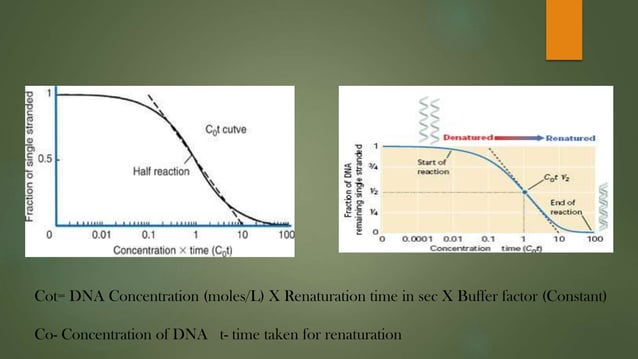 Cot Curve_Dr. Sonia.pdf | Chemistry | Science