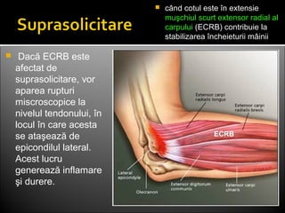 Cot de tenis 2018 | PPT
