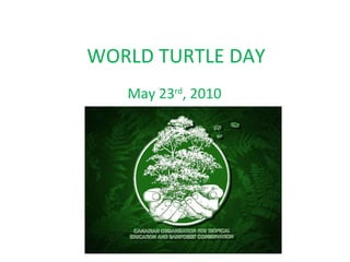 COTERC World turtle day May 23rd 2010 | PPT