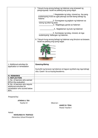 Demonstration teaching - bahagi ng halamanhalaman.docx